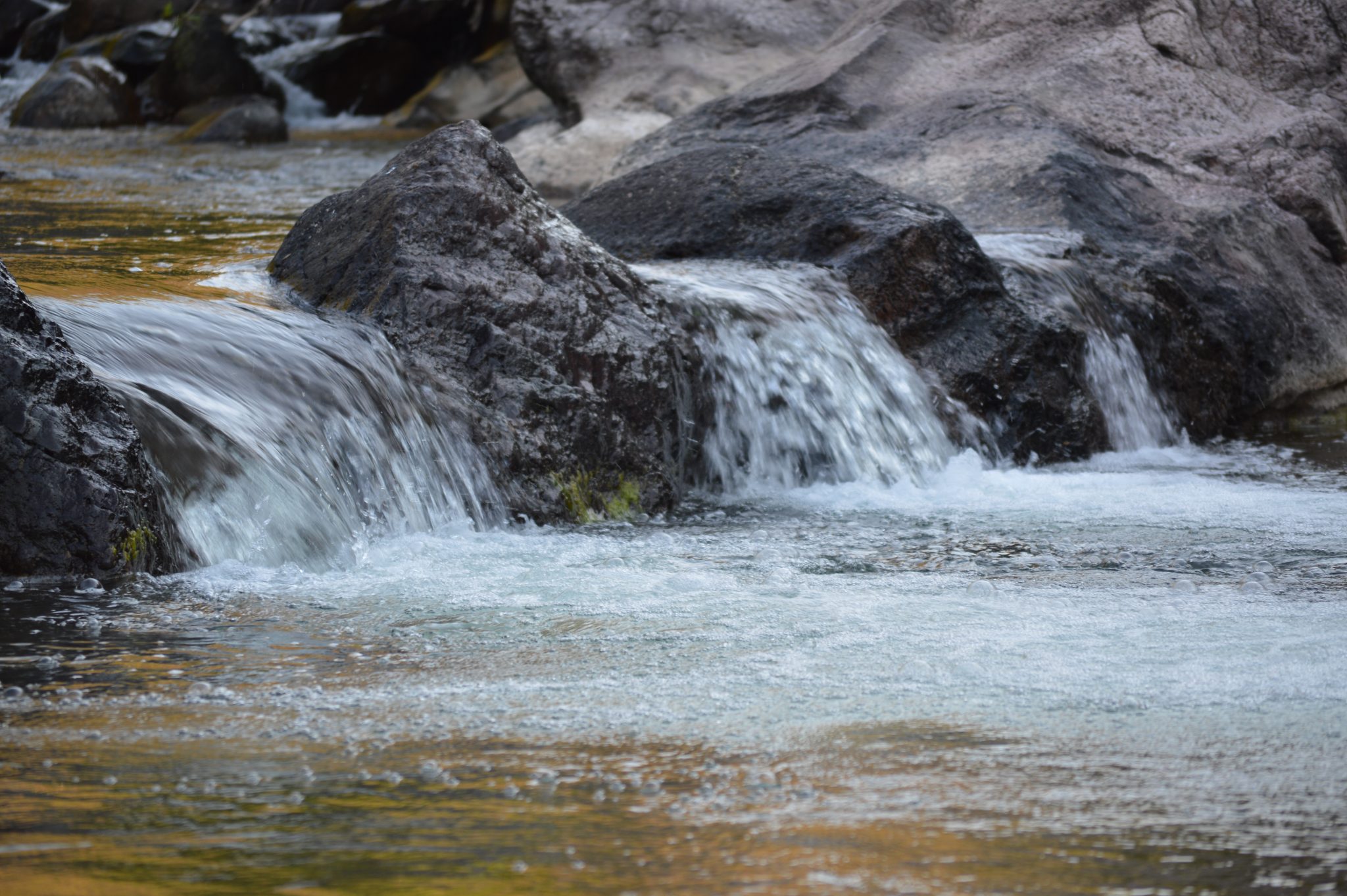 Conoce tu cuenca: Río Presidio