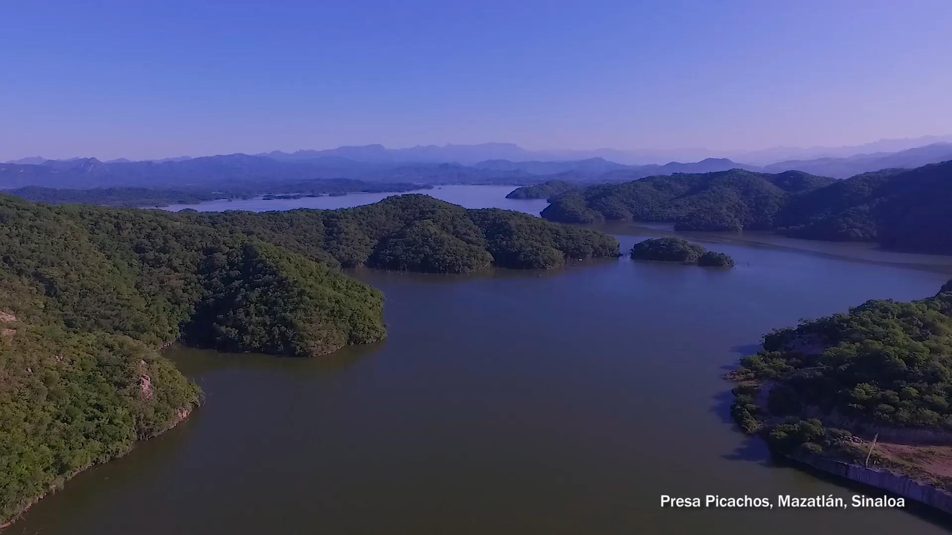 Conselva, Costas y Comunidades