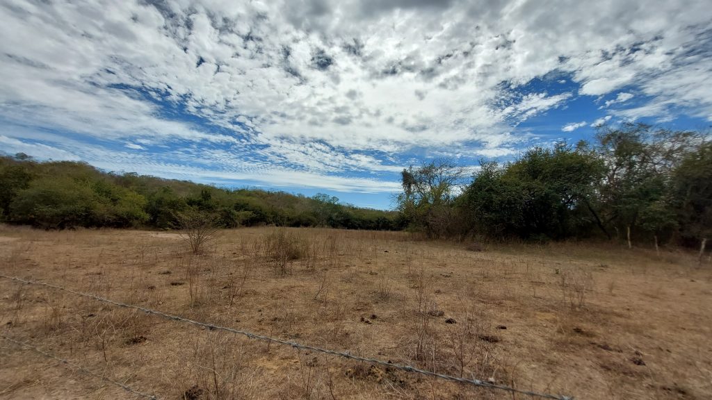 Conselva, Costas y Comunidades